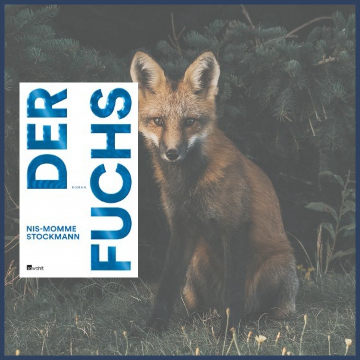 Der Fuchs (Nis-Momme Stockmann) - Koffer voller Bücher